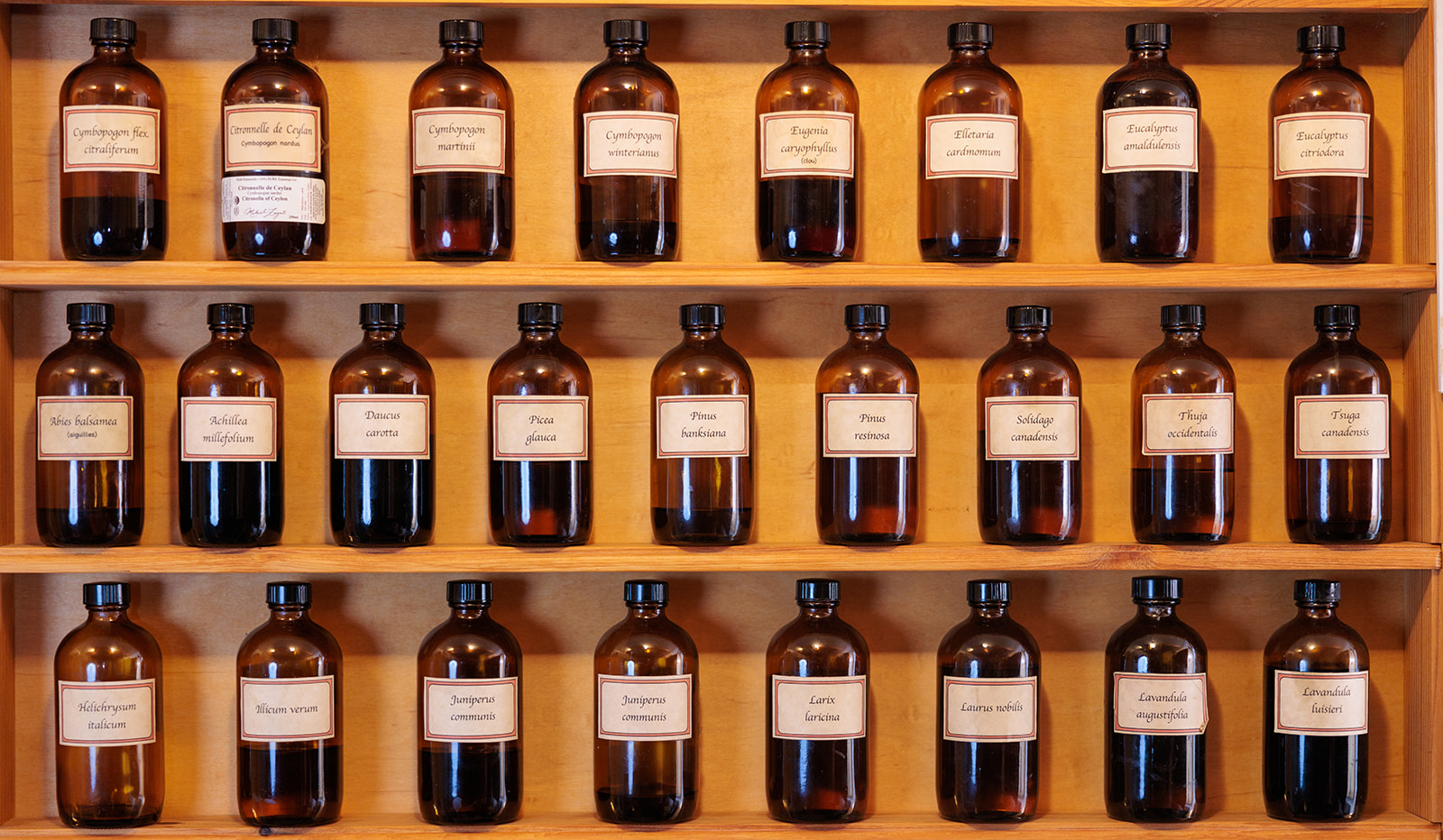 Essential Oils and essential oils diffuser | ZAYAT AROMA