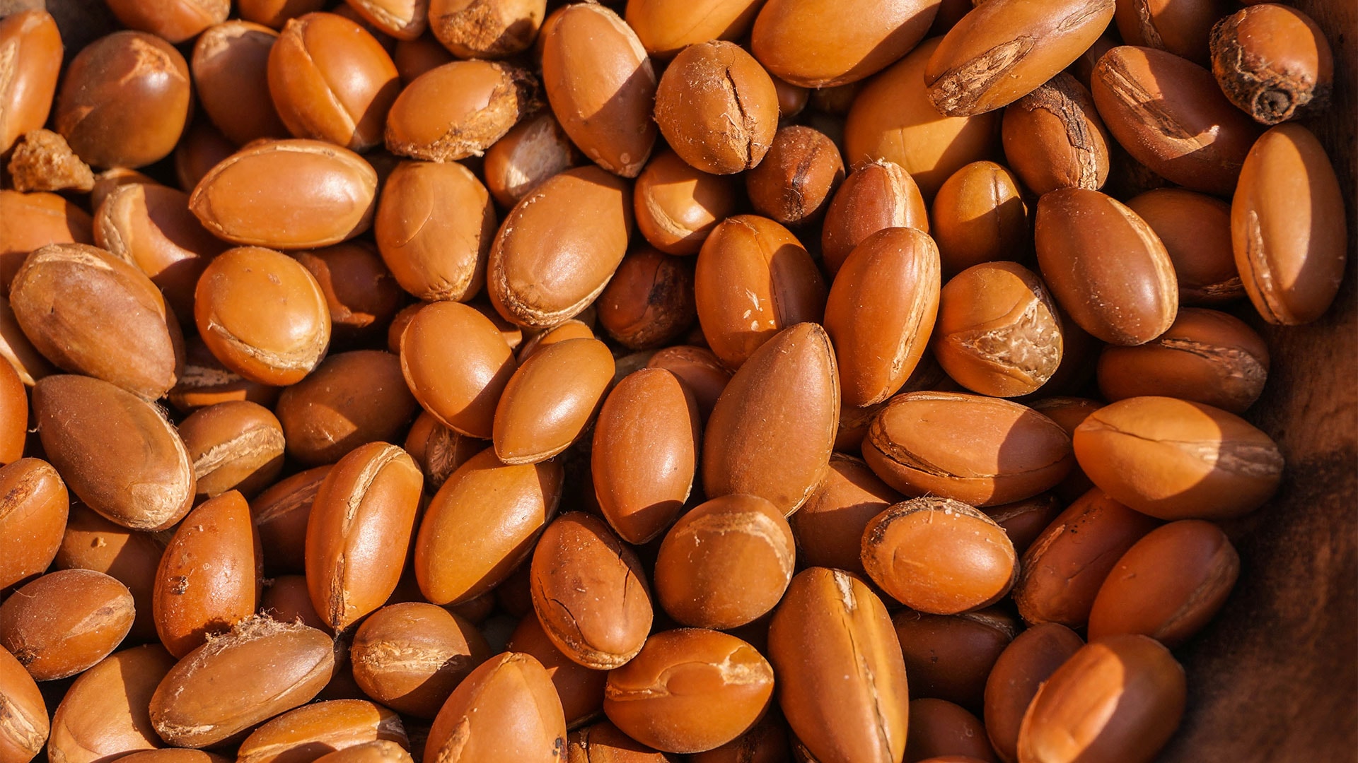Argan Huiles V g tales S lection Du Mois ZAYAT AROMA Argan Huiles V g tales S lection Du Mois ZAYAT AROMA