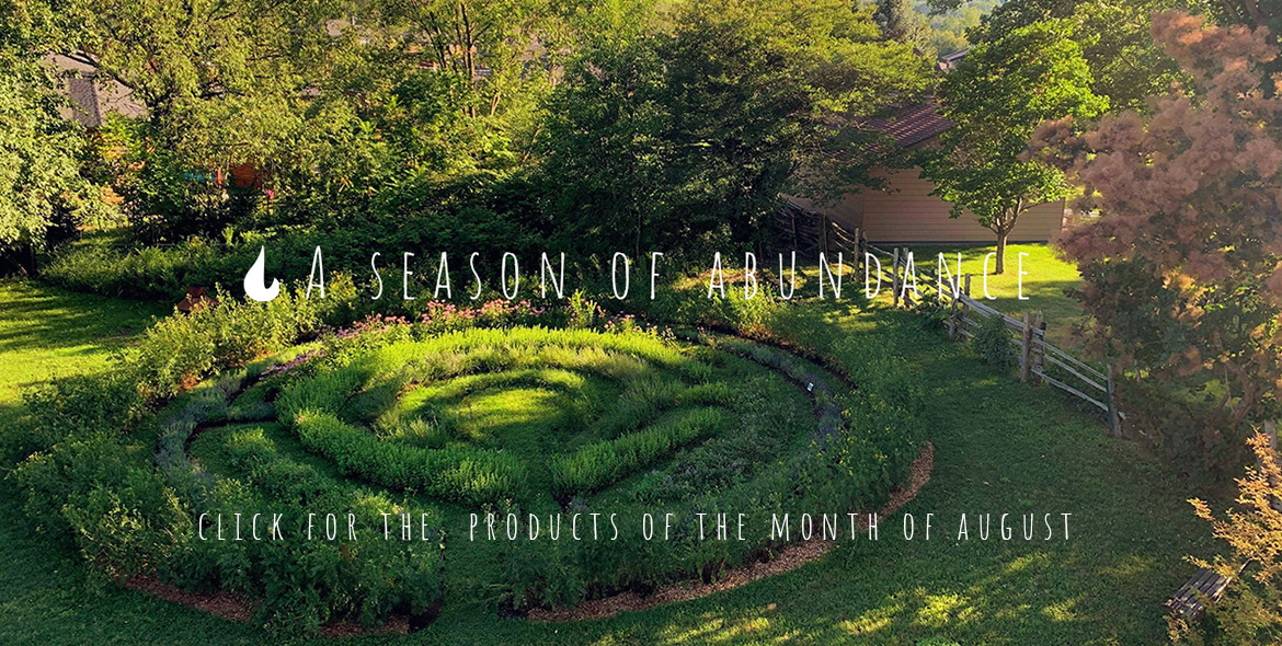 Essential Oils and essential oils diffuser | ZAYAT AROMA